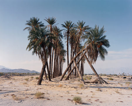 Collections - Nevada Museum of Art
