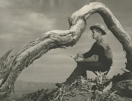 Collections - Nevada Museum of Art