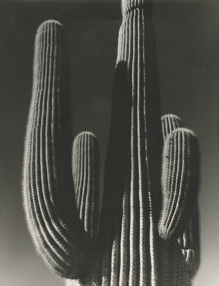 Collections - Nevada Museum of Art